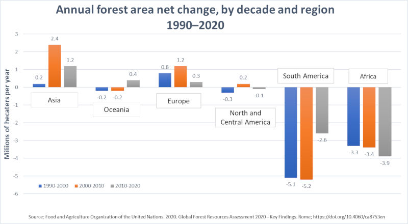 Forests as Carbon Sinks: Nature's Climate Solution